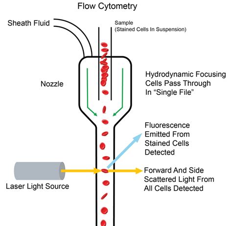 How To Control Pressure In Flow Cytometry Applications