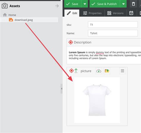 Create A First Project Pimcore Development Documentation