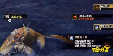怪物猎人崛起厚实的皮怎么获得
