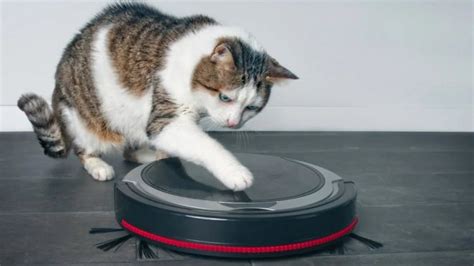 유리와 플라스틱 어떤 것이 환경에 더 좋을까 Bbc News 코리아