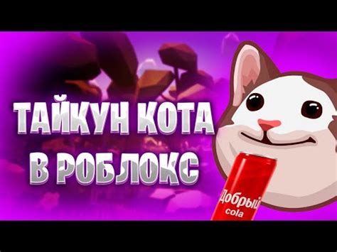 Тайкун кота - YouTube