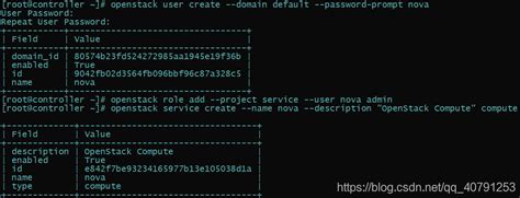 openstack双节点部署—m nova（计算服务） openstack平台双节点运行 在计算节点上一般运行什么服务 csdn博客