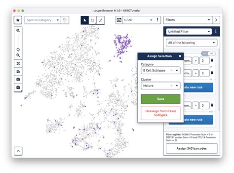 Identifying Cell Subtypes 10x Genomics