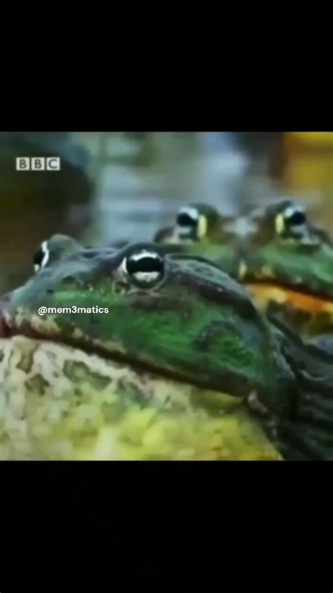 Maths Memes 193 Math Meme U Mem3matics