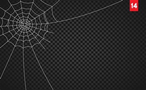 검은 색 배경에 고립 된 할로윈 디자인을위한 거미줄 벡터 일러스트레이션 거미에 대한 스톡 벡터 아트 및 기타 이미지 거미 거미줄 검은색 Istock