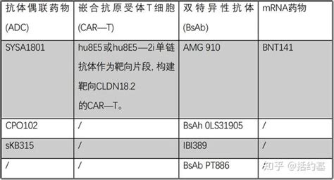 与CLDN18 2靶点相关的研究进展 知乎