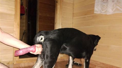 My First Time With Knot Zoo Tube 1