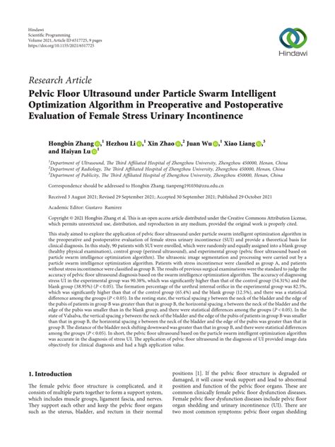 Pdf Pelvic Floor Ultrasound Under Particle Swarm Intelligent Optimization Algorithm In