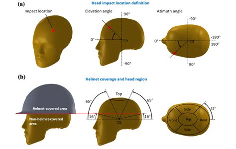 A Definition Of Head Impact Locations Using Elevation And Azimuth