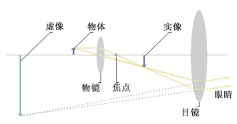 显微镜放大率和数值孔径 东莞沃德普