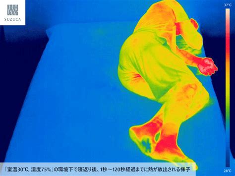 日本製 麻100敷きパッド「涼夏（suzuca）」 和雲