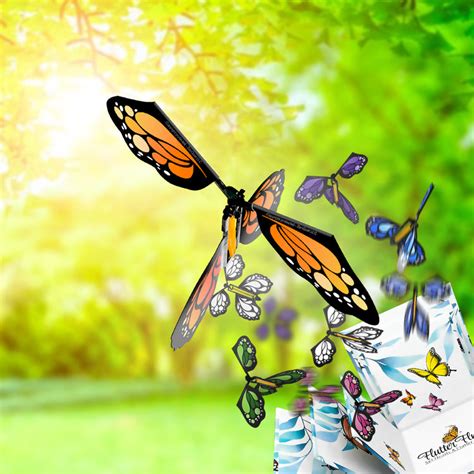 Flutter Flyers Flutter Flyers