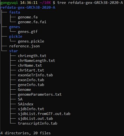 10x Genomics Pipeline Yuqi Gongs Blog