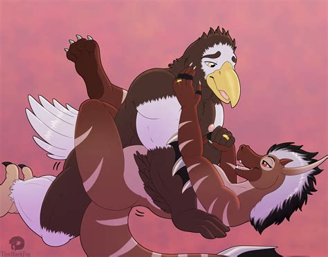 Rule 34 Accipitrid Accipitriform Anthro Avian Bird Digit Ring Dragon