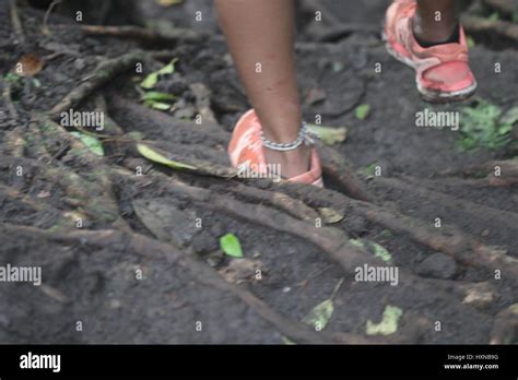 Jungle Feet Pics At Amber Polk Blog