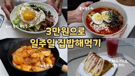 식비 절약 3만 원으로 일주일 집밥 해 먹기😋 입 맛 없는 여름에 추천하는 자취 요리🥪 오이냉국 물비빔국수 닭볶음탕 묵사발 몬테크리스토 샌드위치 오이 참치