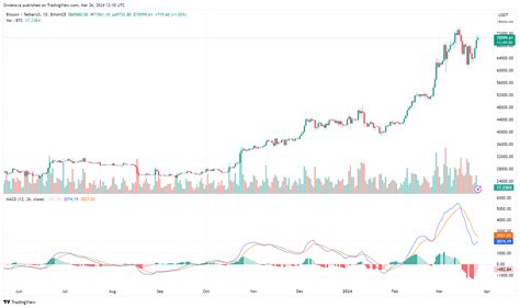 Binance Btcusdt Chart Image By Owienova — Tradingview