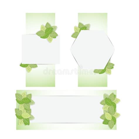 Vector Eco Friendly Banner Or Headers Stock Vector Illustration Of Leaf Design