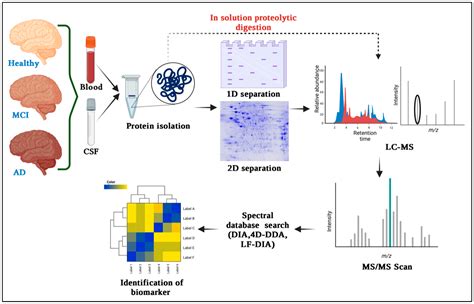 Unveiling The Molecular Footprint Proteome Based Biomarkers For Alzheimers Disease