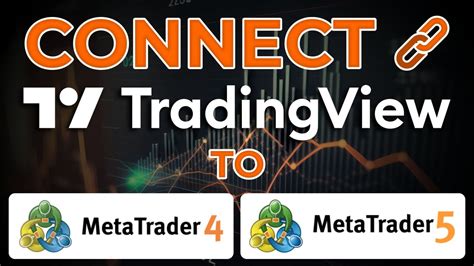 How To Connect Vc Universal Bot To Mt4 Mt5 Account Step By Step Guide