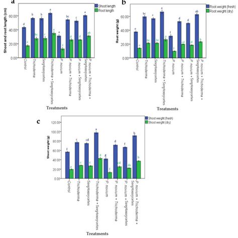 Effect Of Different Treatments On A Plant Shoot And Root Length B Download Scientific