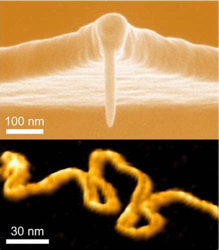 用于液体中生物分子动态原子力显微镜的有机金属尖端的聚焦氦离子和电子束诱导沉积acs Applied Materials