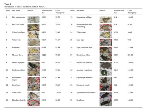 Pest24 A Large Scale Very Small Object Data Set Of Agricultural Pests