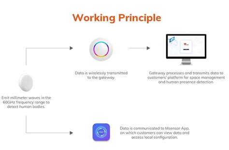 Millimeter Wave Radar Programmable Wireless People Counting Occupancy