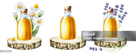 나무 톱에 코르크 캡이 달린 수채화 기름 유리병은 흰색 배경에 분리된 카모마일과 라벤더로 자른다 미용 제품 및 식물학 요소 미용