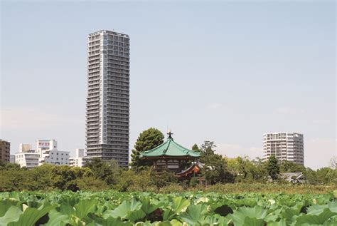 不忍池上野 公園さんたつ by 散歩の達人