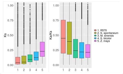 Nucleotide Evolution Among Close Species Distribution Of The Rate Of Download Scientific