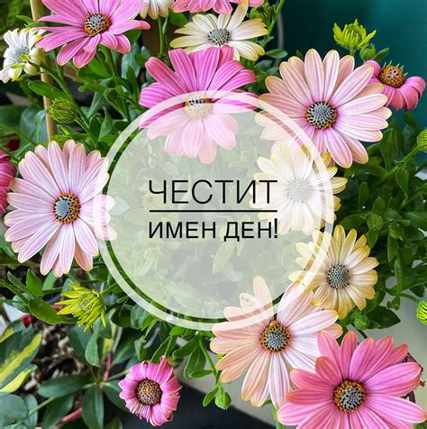 Картички за имен ден на жена Празници картички и пожелания