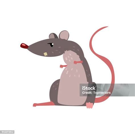 성 난 회색 마우스 흰색 바탕에 귀여운 설치류 문자 벡터 일러스트 레이 션 귀여운에 대한 스톡 벡터 아트 및 기타 이미지
