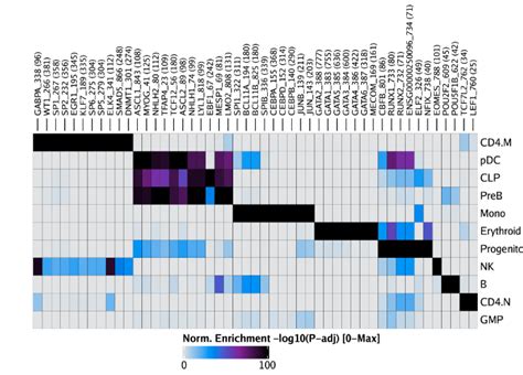 Plotenrichheatmap N Parameter Not Working Issue Greenleaflab Archr Github