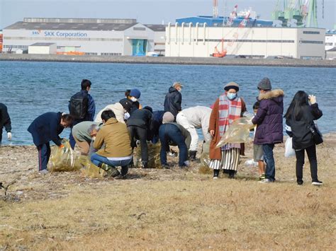 スナビキソウの植栽ボランティア清掃 香川県の多度津町観光協会