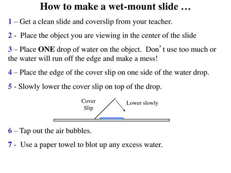 PPT Microscope Basics PowerPoint Presentation Free Download ID