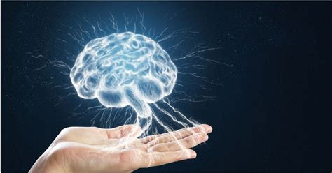 🧠 Your Brain Vs The Algorithm Whos Really In Control Of Your Choices