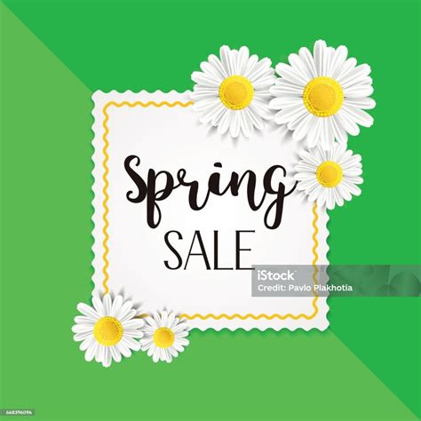 아름다운 흰색 카모마일 꽃봄 판매 배경 배너 벽지 전단지 초대 포스터 브로셔 바우처 할인을 위한 벡터 일러스트 템플릿 0명에 대한 스톡 벡터 아트 및 기타 이미지 Istock