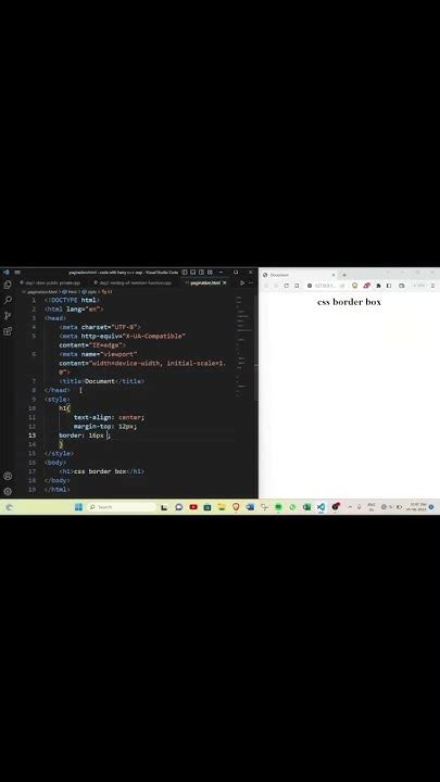css double border css solid black border css3 shorts short viral