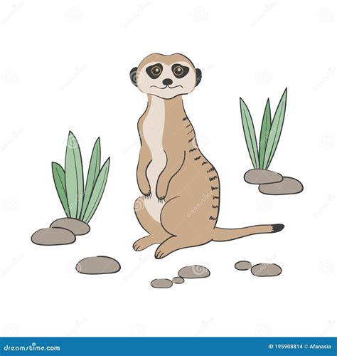 白色背景中突显的可爱卡通猫鼬 向量例证 插画 包括有 滑稽 背包 动画片 图画 向量 查出 195908814