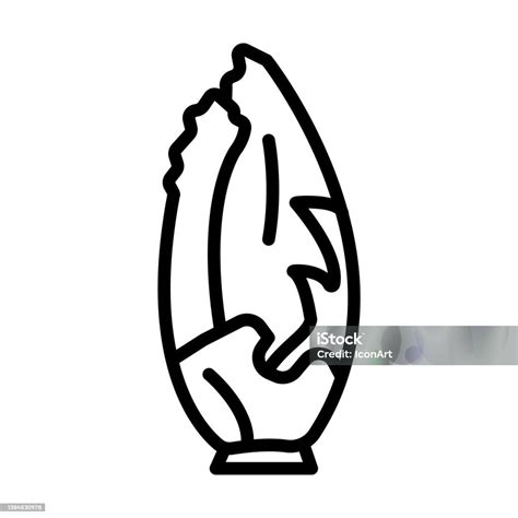 과일과 채소 컬렉션의 양상추 아이콘 흰색 배경에 격리 된 얇은 선형 양상추 음식 양파 윤곽 아이콘 라인 벡터 양상추 기호 웹 및 모바일 기호 0명에 대한 스톡 벡터 아트 및