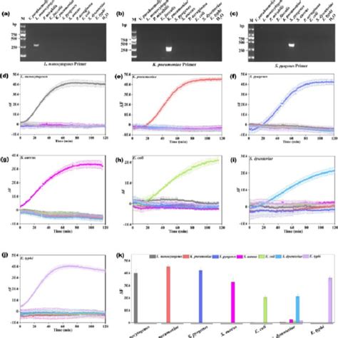 Cas12a Based Differential Detection For Nucleic Acid Detection From