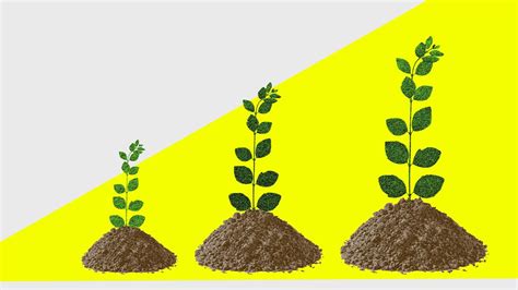 Tml Communications On Linkedin Scaling A Midsize Startup