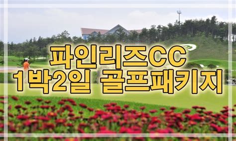 파인리즈cc 1박2일 골프패키지 서울특별시 강남구 신사동 골프 당근 비즈 소식