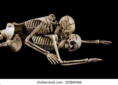 Skeleton Sex Images Stock Photos Vectors Shutterstock