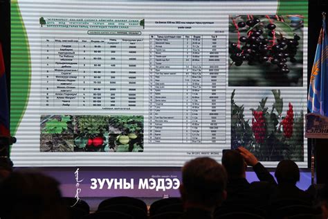 Нээлттэй Сэлэнгэ арга хэмжээ боллоо