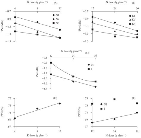 Interaction Effects Between A K Doses And Y W B N Doses And Y W