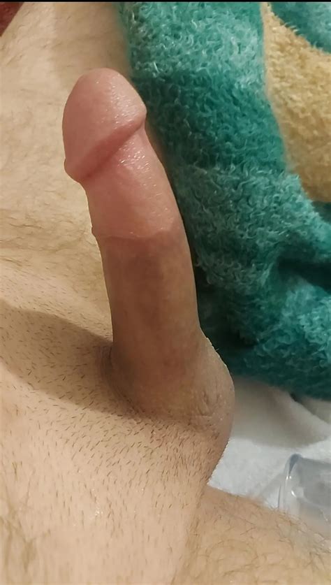 Always Hard And Erect 3 Pics Xhamster