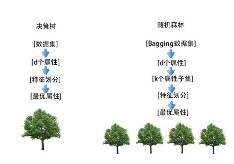 04 机器学习 随机森林 Random Forest 哔哩哔哩