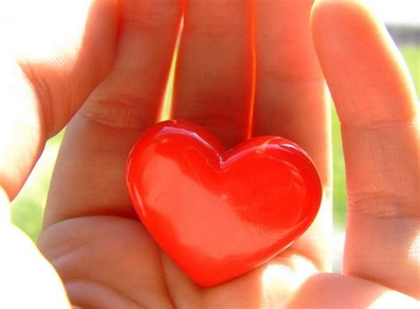 지방흡입전문 비너스의원 마음을 울리는 사랑 명언 모음